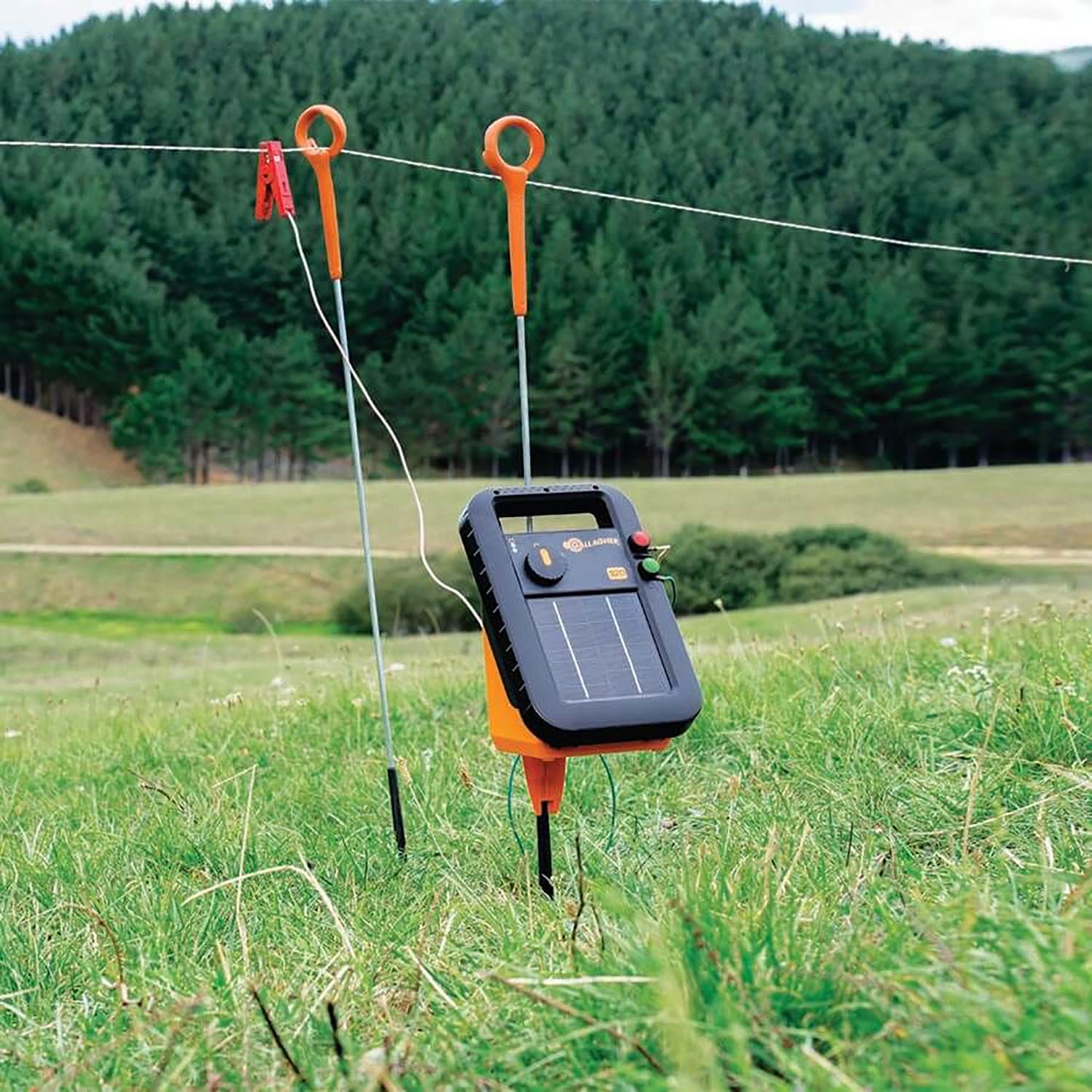 Buy Gallagher Energizer Solar Fencer S20 from Fane Valley Stores ...