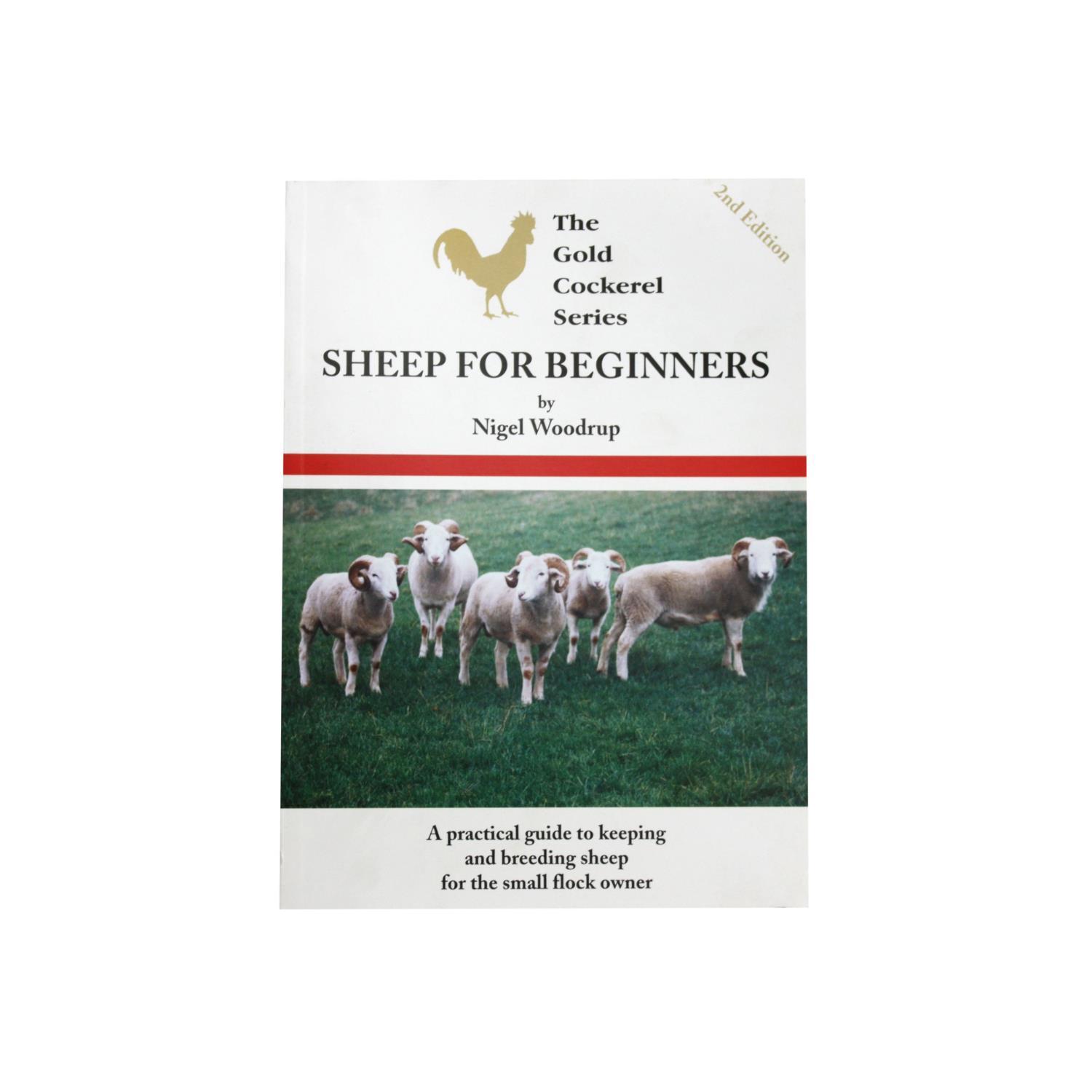 Buy Book Sheep for Beginners 07620 from Fane Valley Stores Agricultural ...